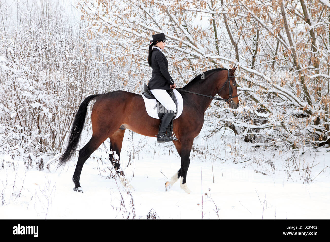 Equestrian girl hi-res stock photography and images - Alamy