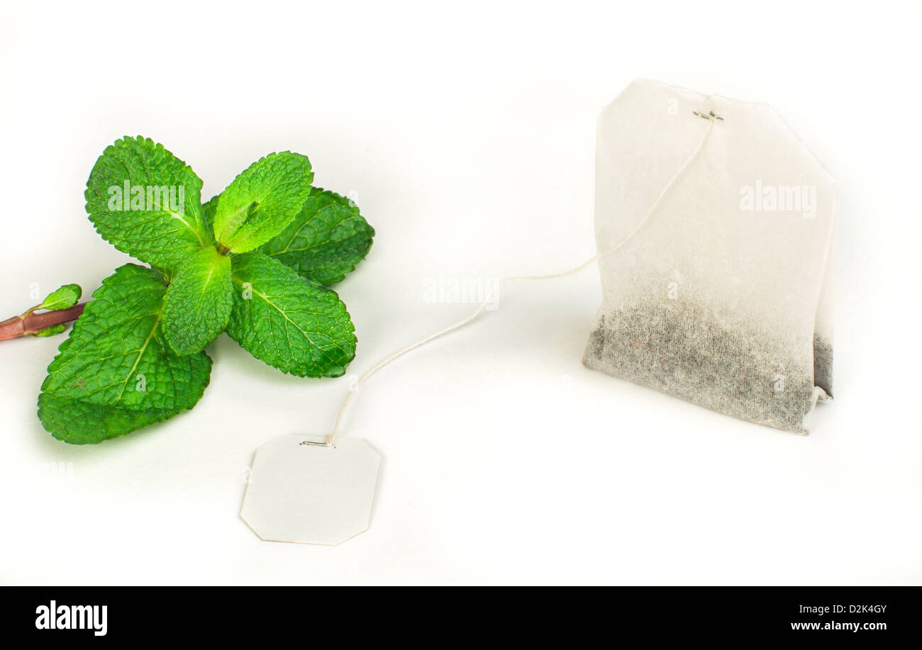 Tea bag and fresh mint white isolated Stock Photo - Alamy