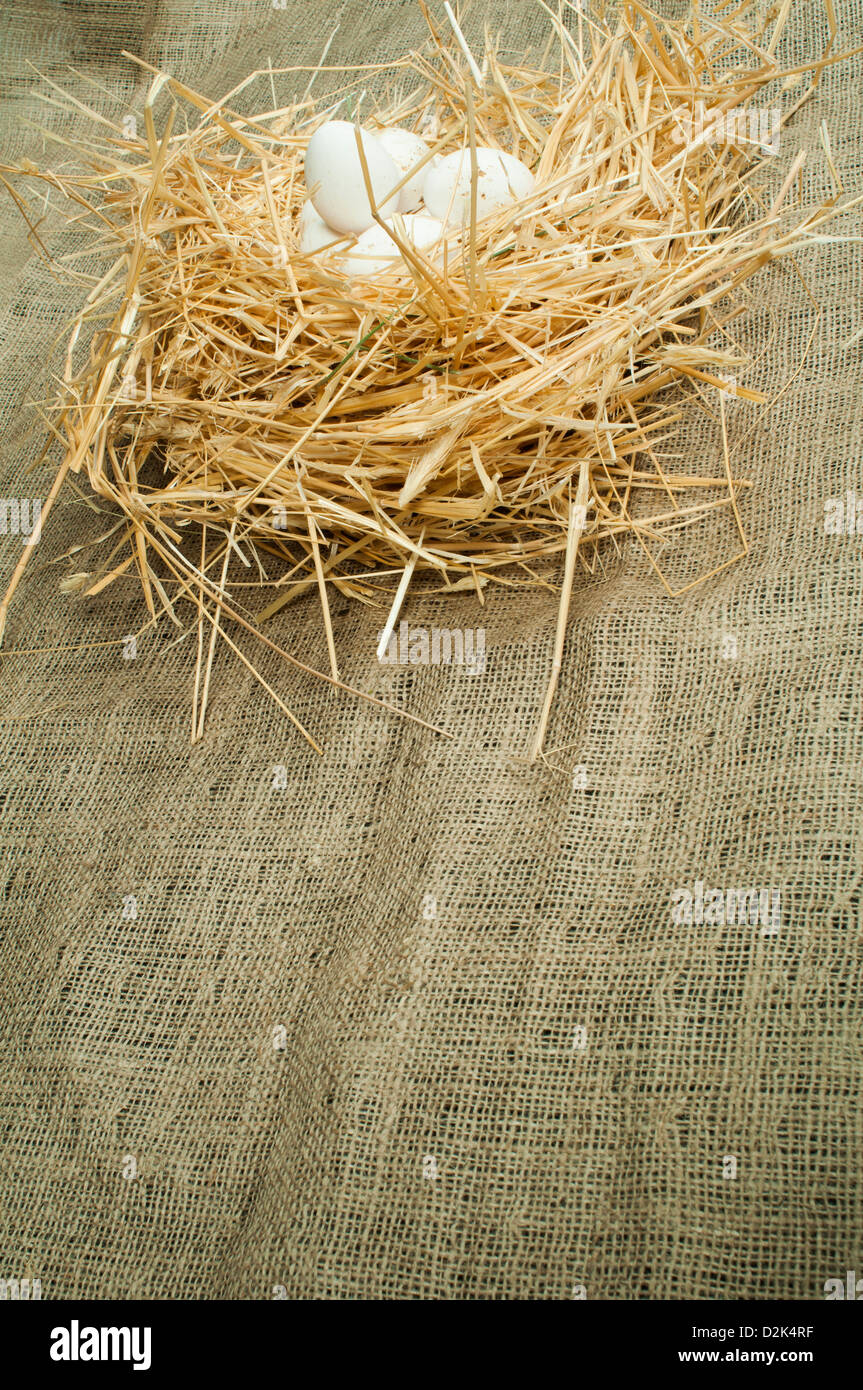 Organic white eggs from domestic farm. Eggs in a straw nest Stock Photo ...