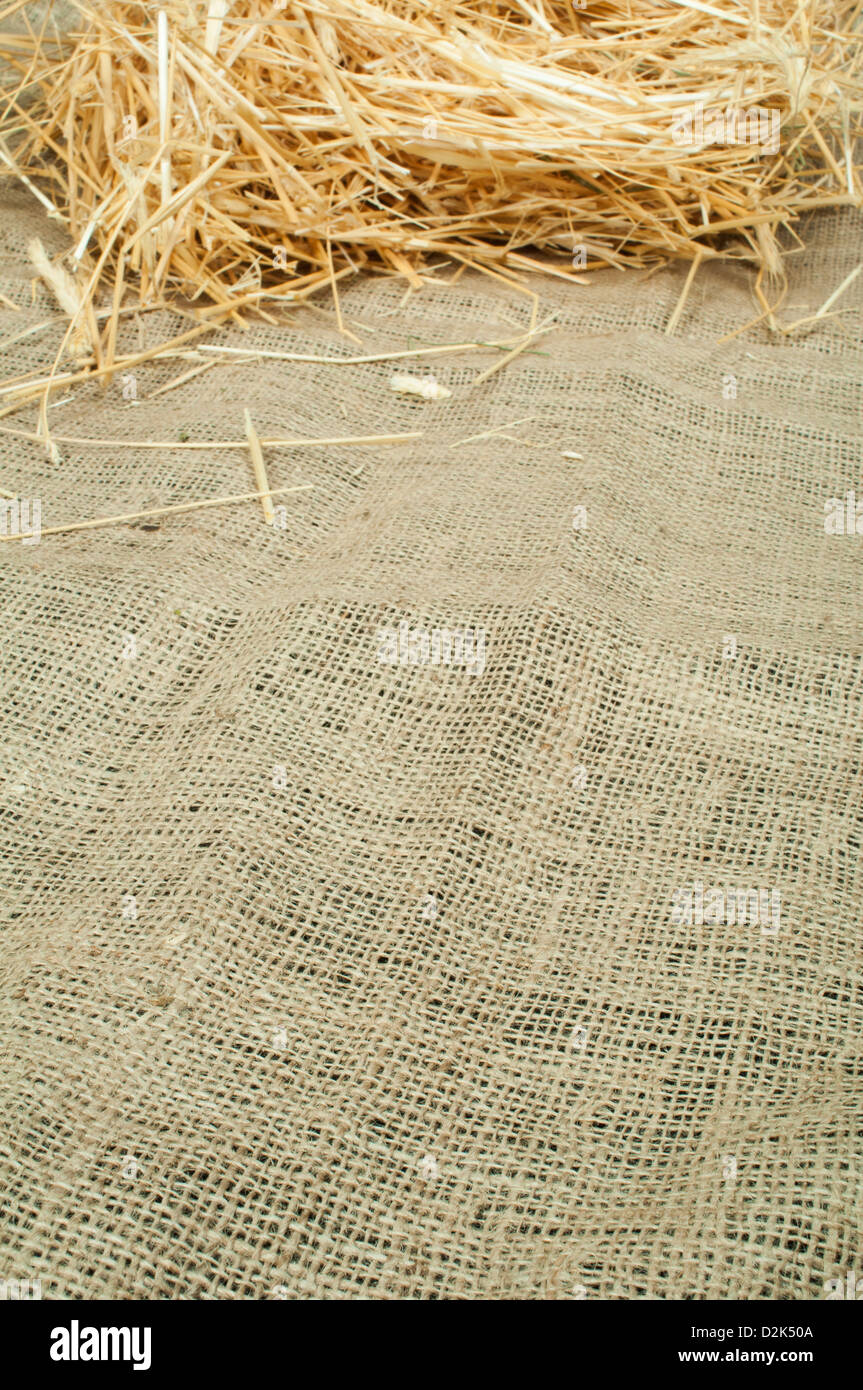 Straw on burlap and copy space. Studio shot Stock Photo - Alamy