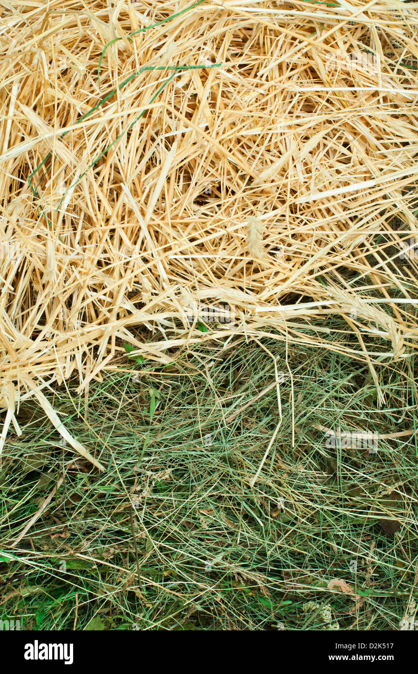 Hay and straw hi-res stock photography and images - Alamy