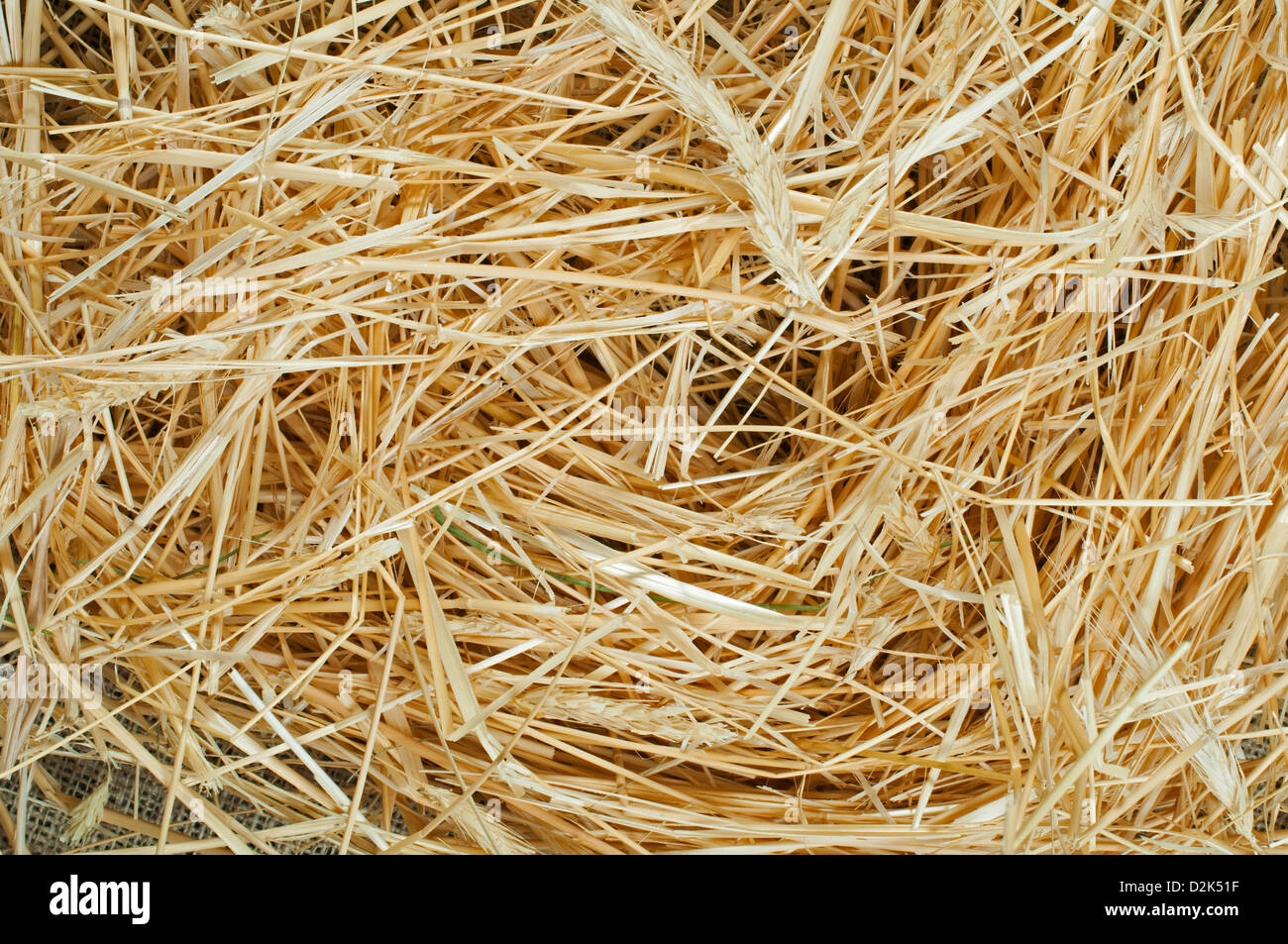 Straw close up background. Studio shot Stock Photo - Alamy