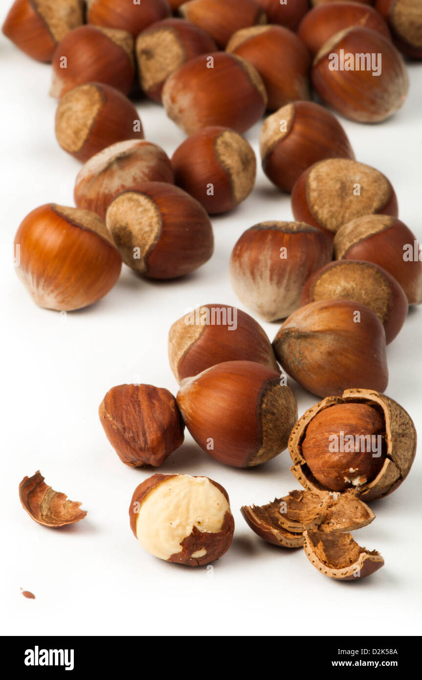 Closeup raw hazelnuts white isolated. One broken hazelnut and other ...