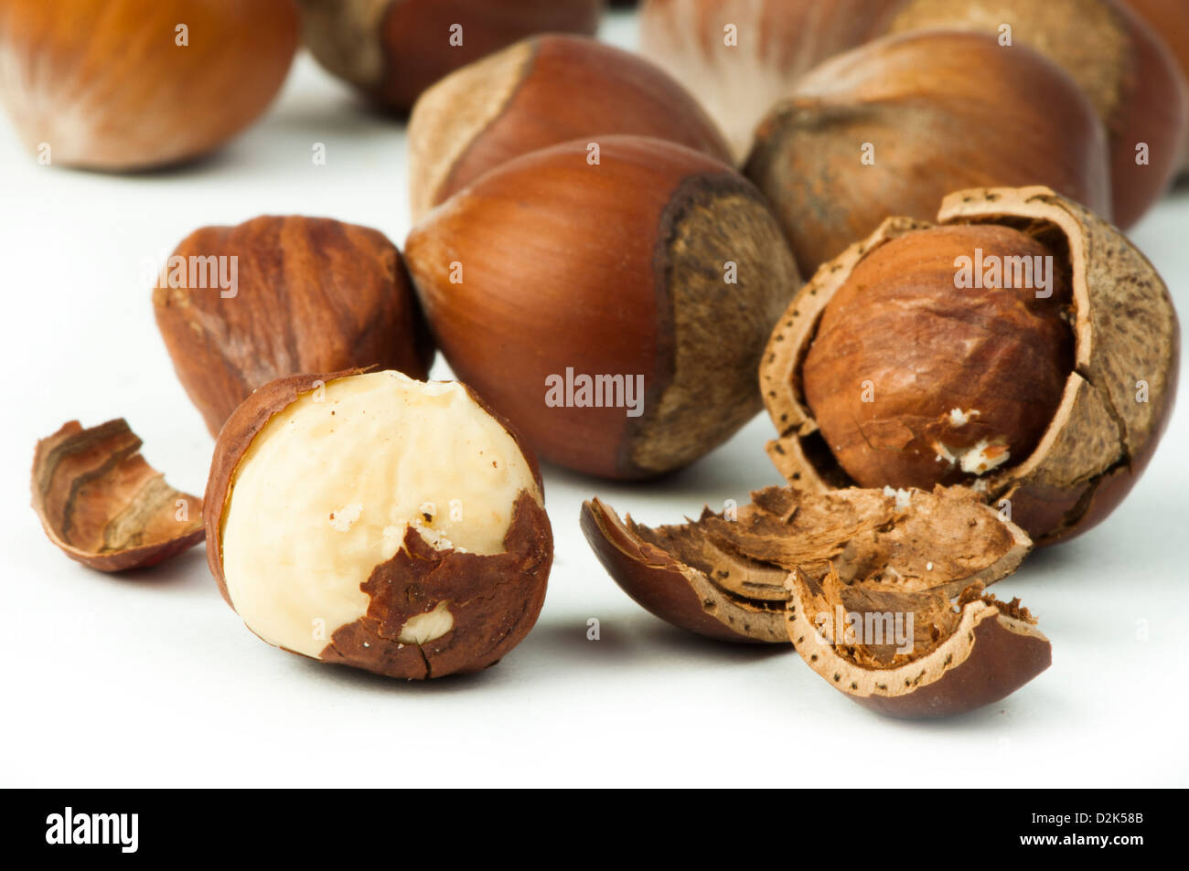 Closeup raw hazelnuts white isolated. One broken hazelnut and other ...