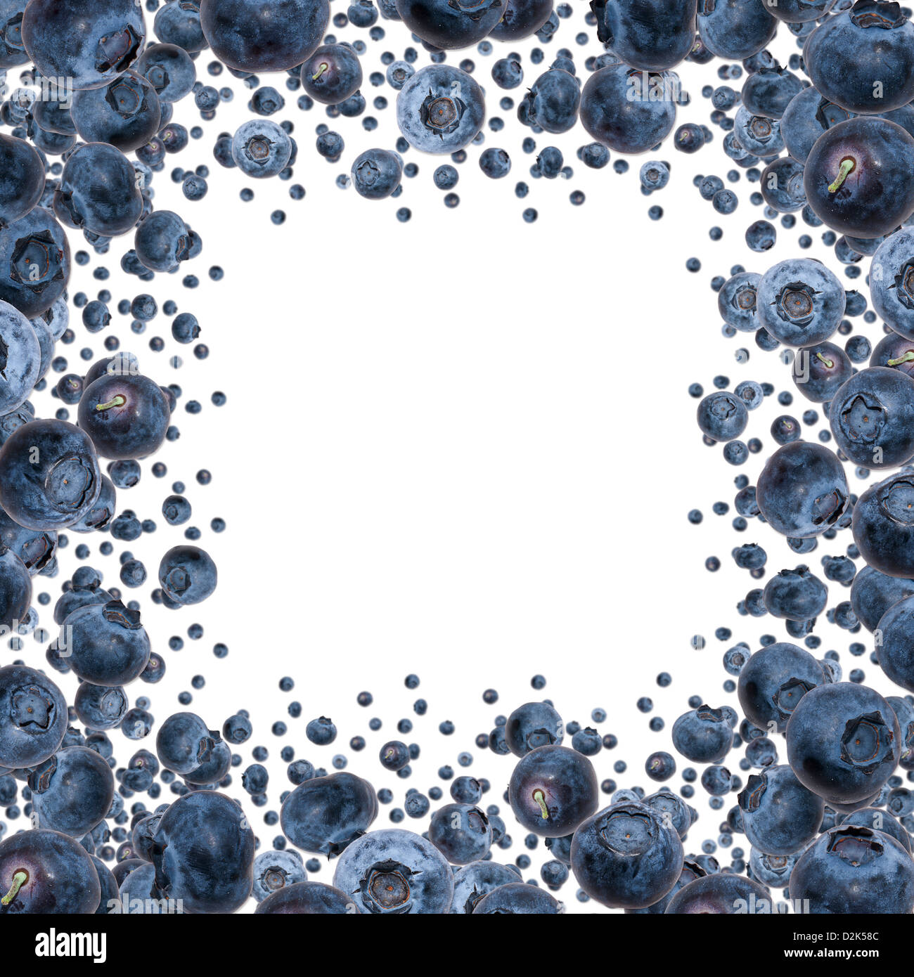 Blueberry Frame isolated on white Stock Photo - Alamy