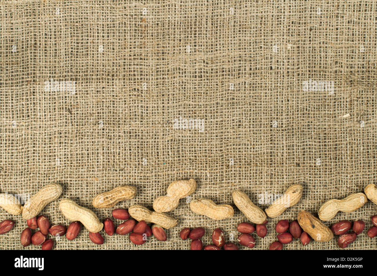 Closeup Peanuts on burlap.Raw peanuts in shells and shelled peanuts ...