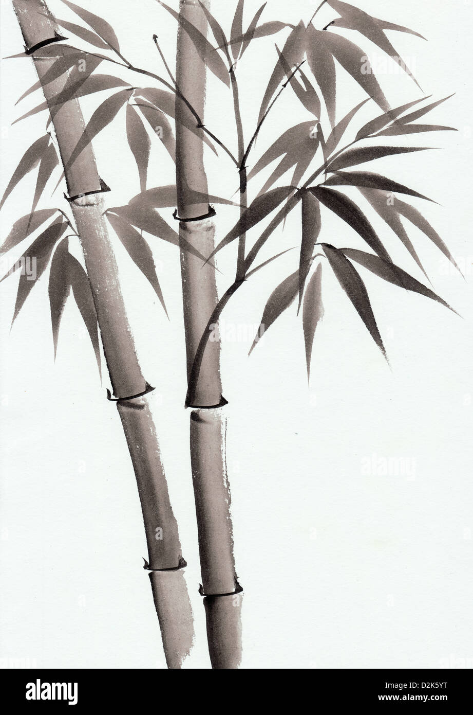 Original art, watercolor painting of bamboo, Asian style painting Stock ...