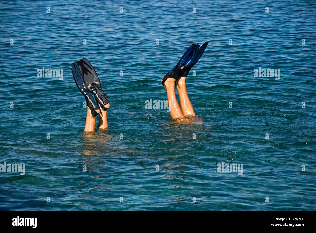 Legs of two divers with fins soaring out of the sea Stock Photo - Alamy