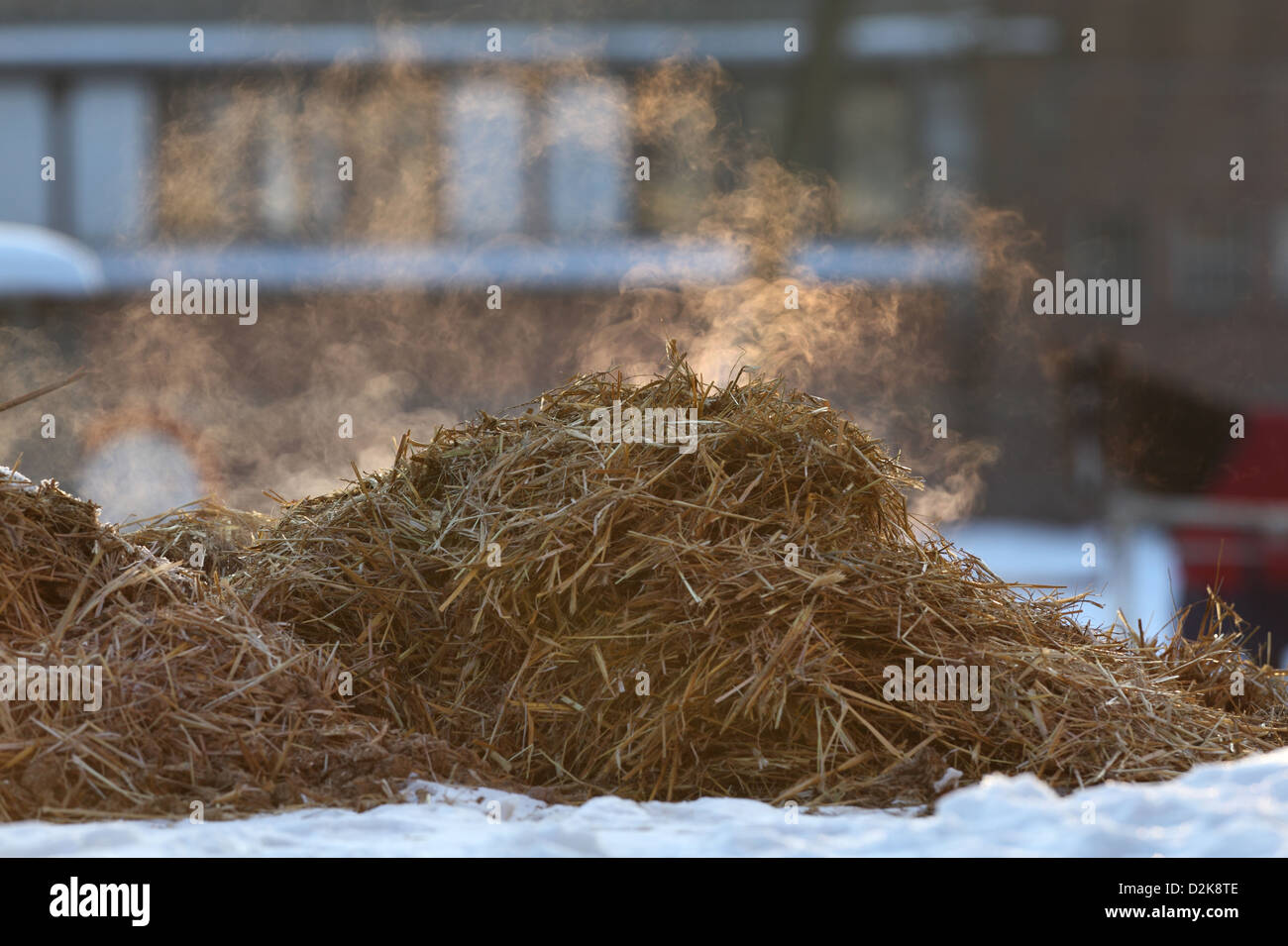 Pile steaming manure hi-res stock photography and images - Alamy