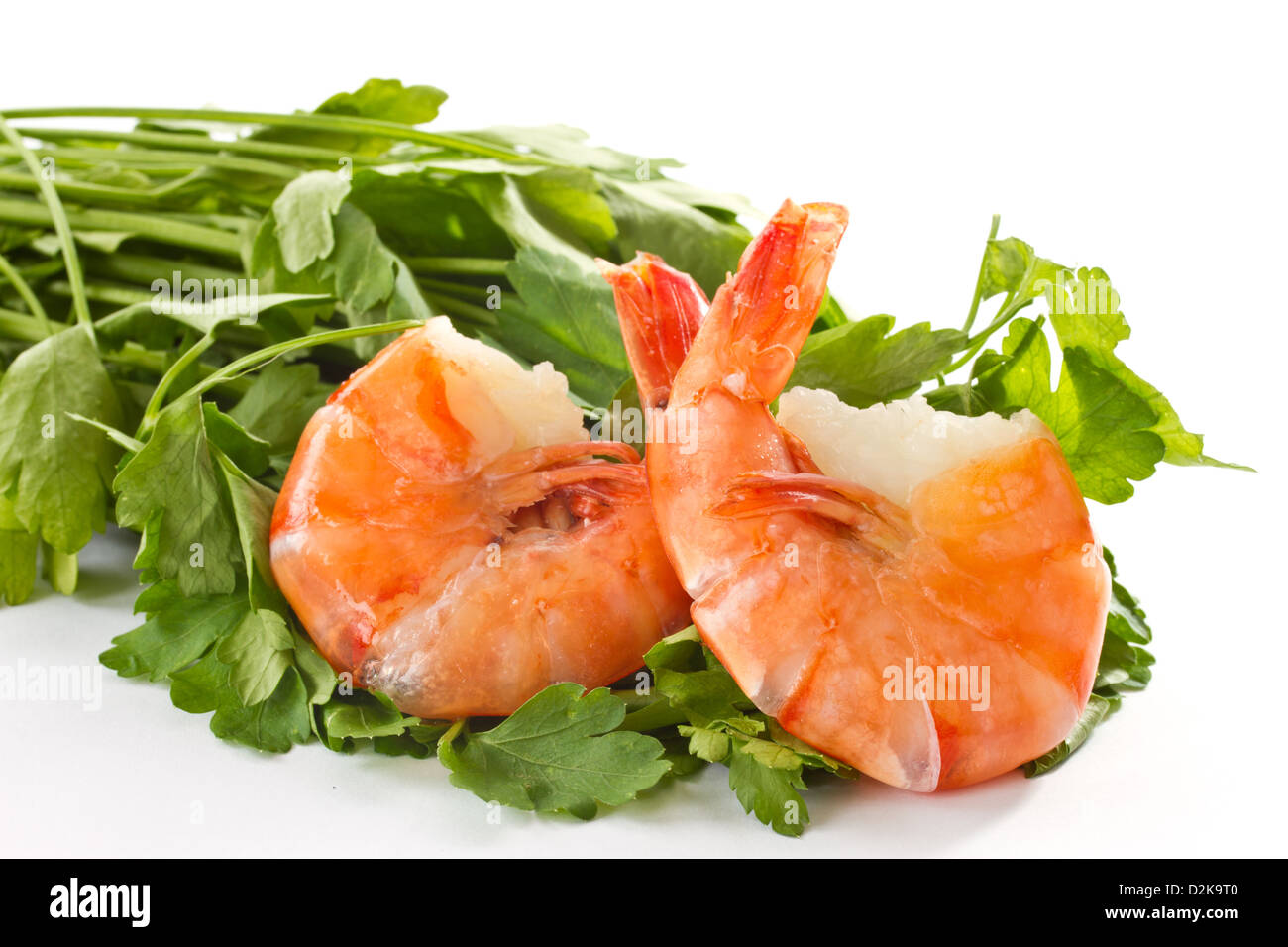 Boiled big red shrimp on a background white Stock Photo - Alamy