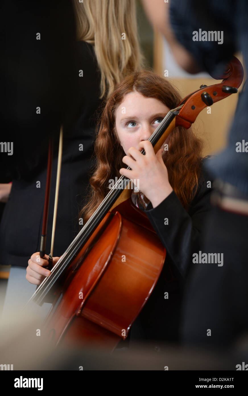 Cello head hi-res stock photography and images - Alamy