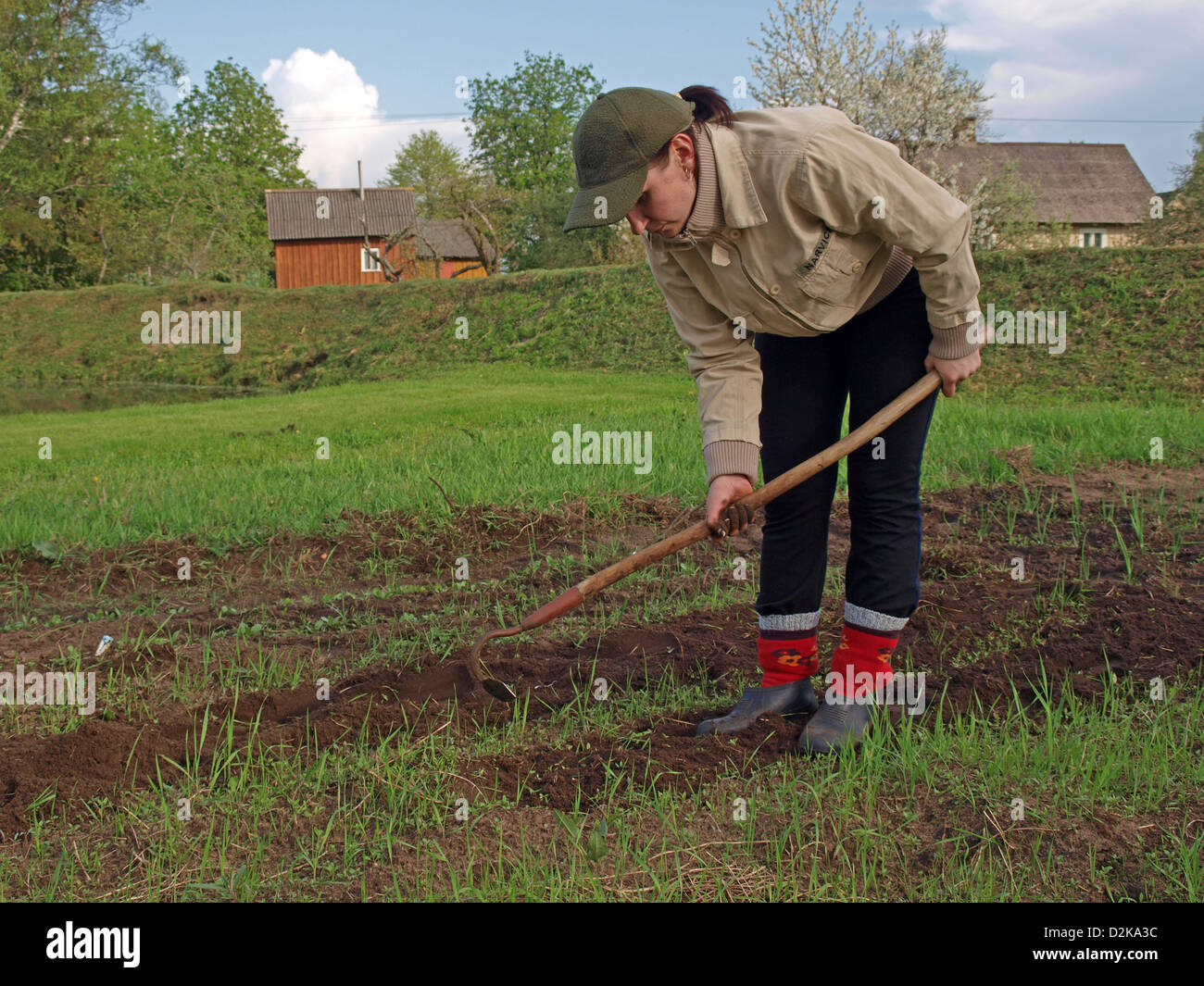 Young woman hoe weeding vegetable hi-res stock photography and images ...