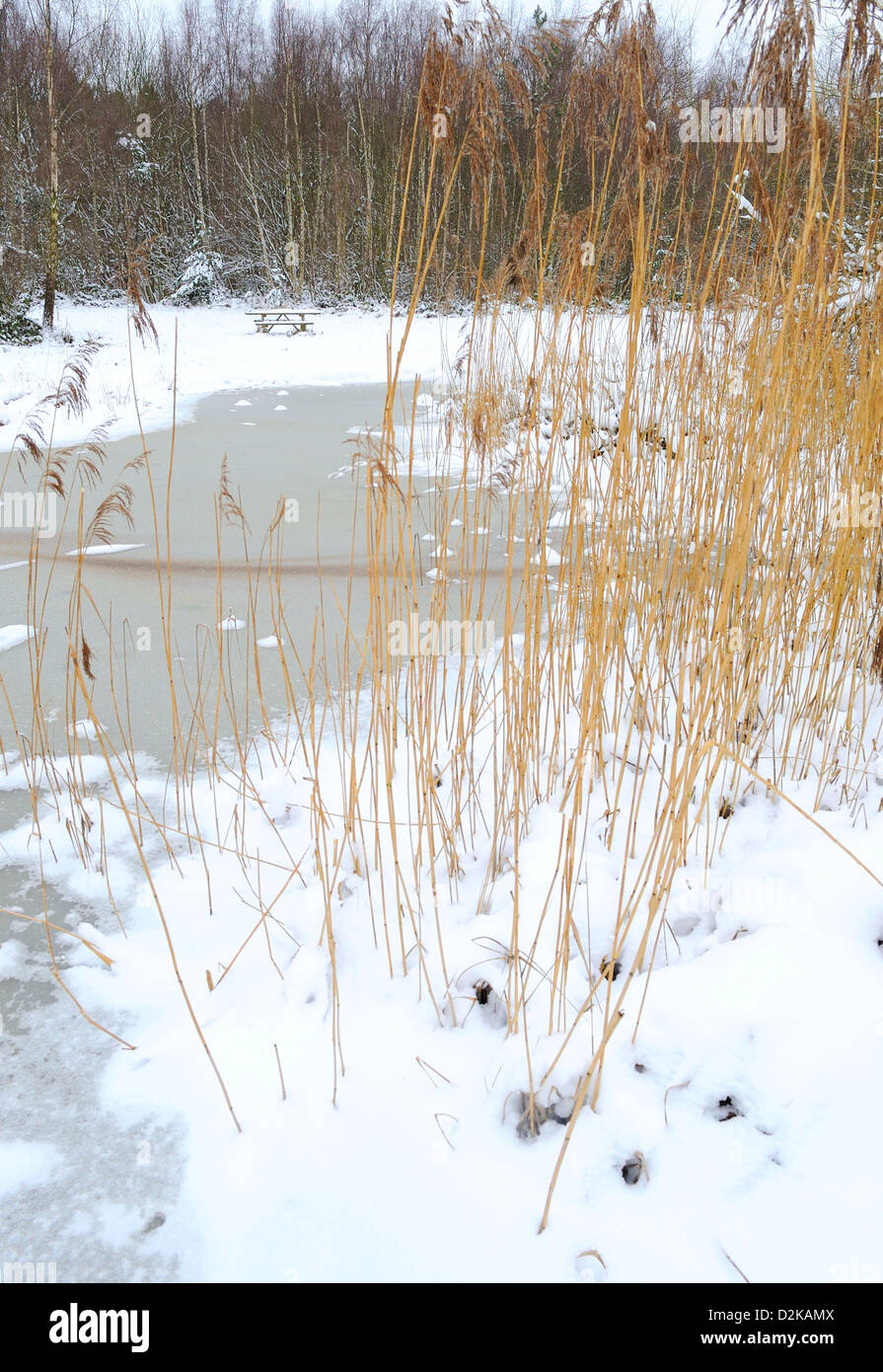 Frozen seat wooden bench hi-res stock photography and images - Alamy