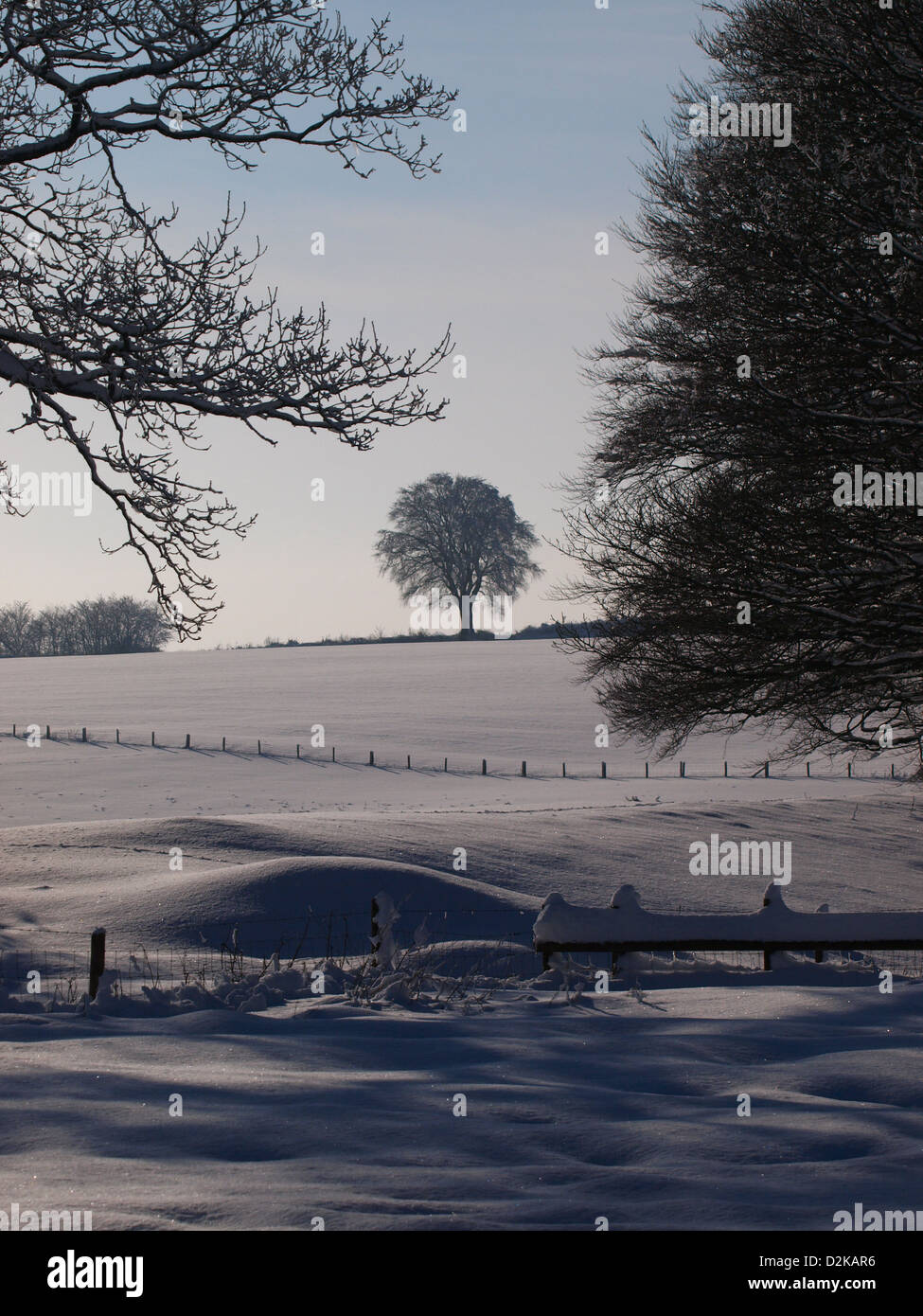 Tree field january farmland covered covering hill scenic hi-res stock ...