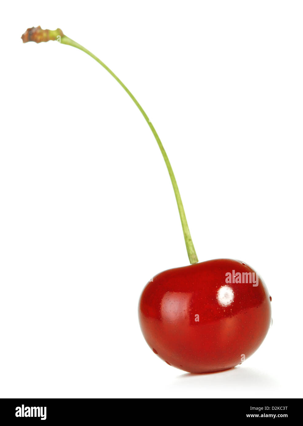Fresh stem Cut Out Stock Images & Pictures - Alamy