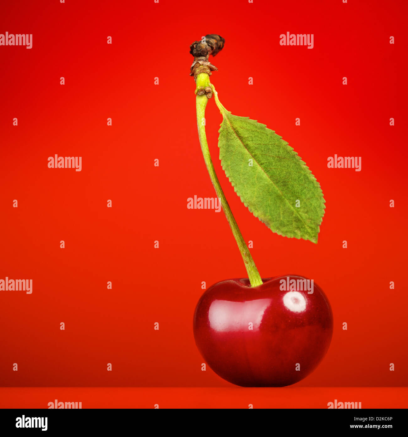 fresh red cherry with stem on red background Stock Photo - Alamy