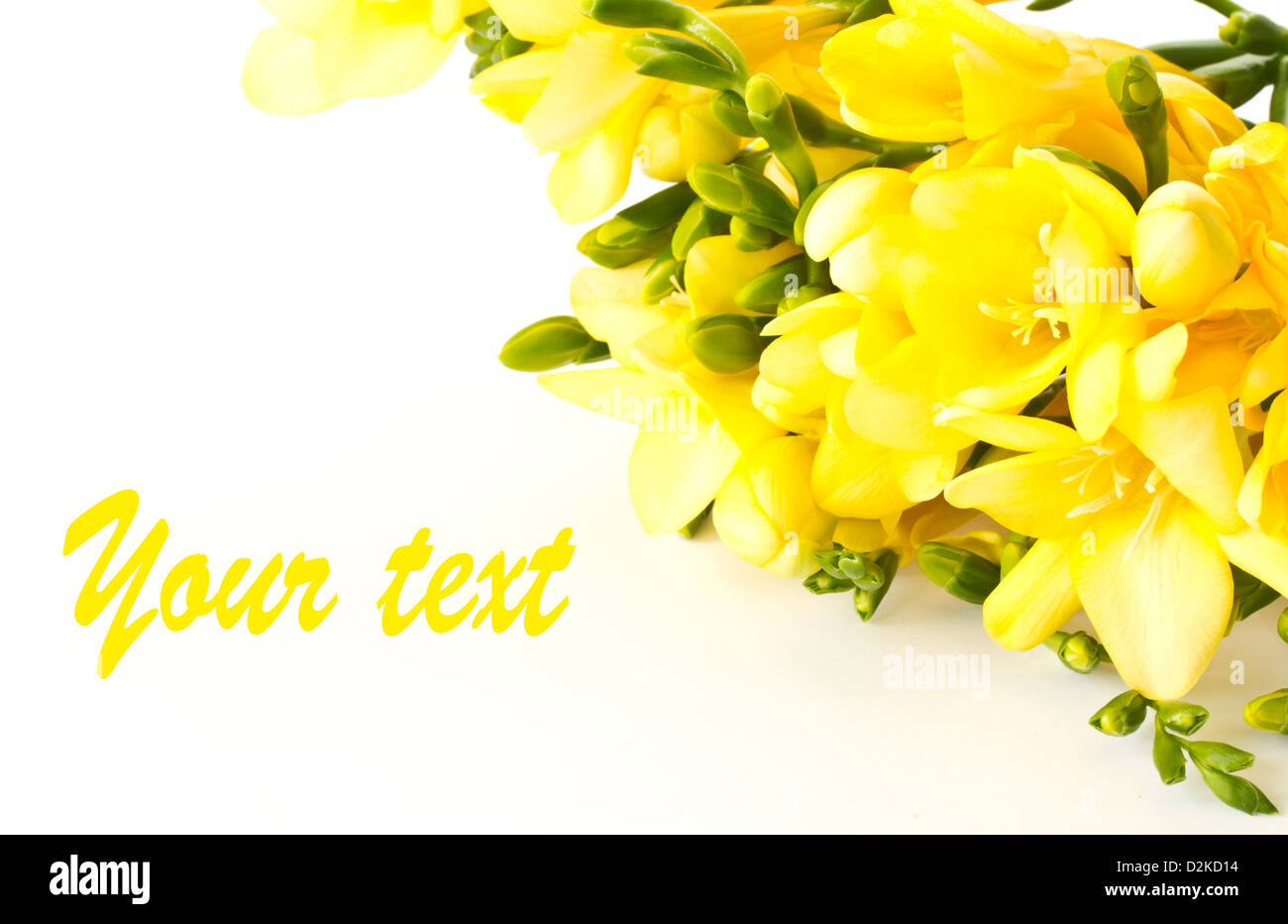 floral background of the flowers of different colors Stock Photo - Alamy