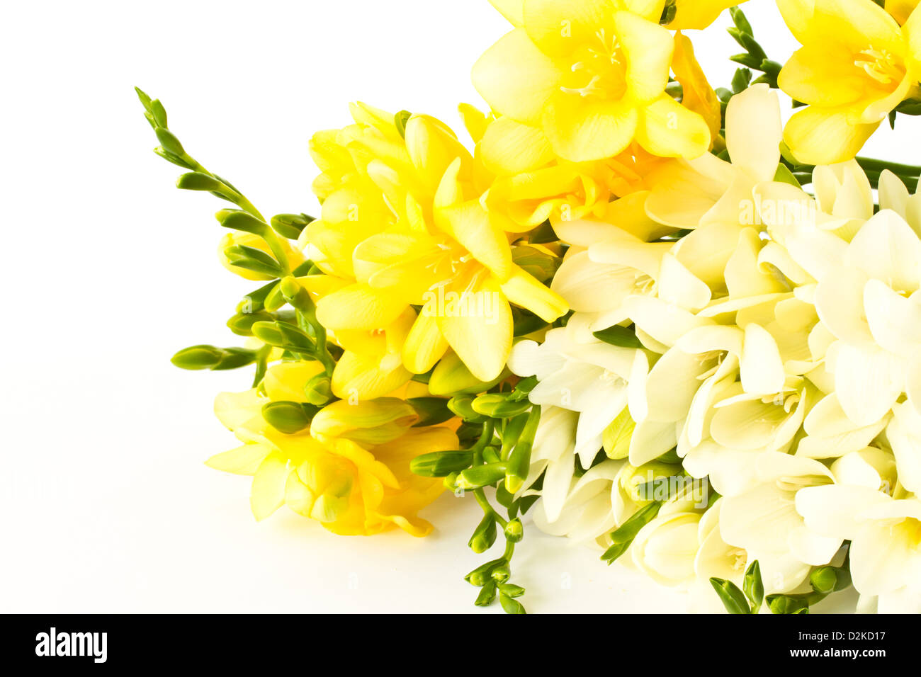 floral background of the flowers of different colors Stock Photo - Alamy