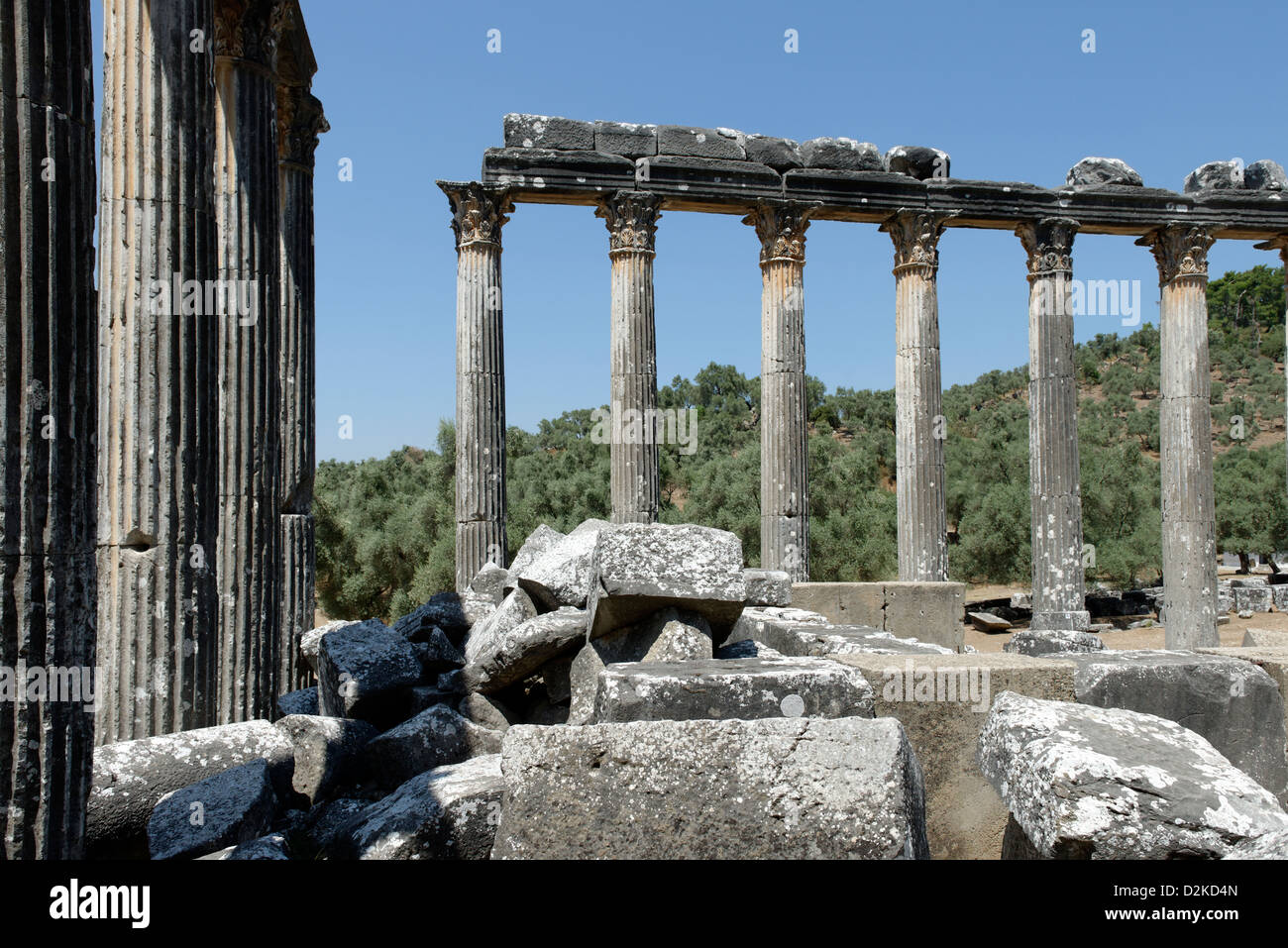 Euromos Turkey. The magnificent 2nd century AD Corinthian Temple of ...