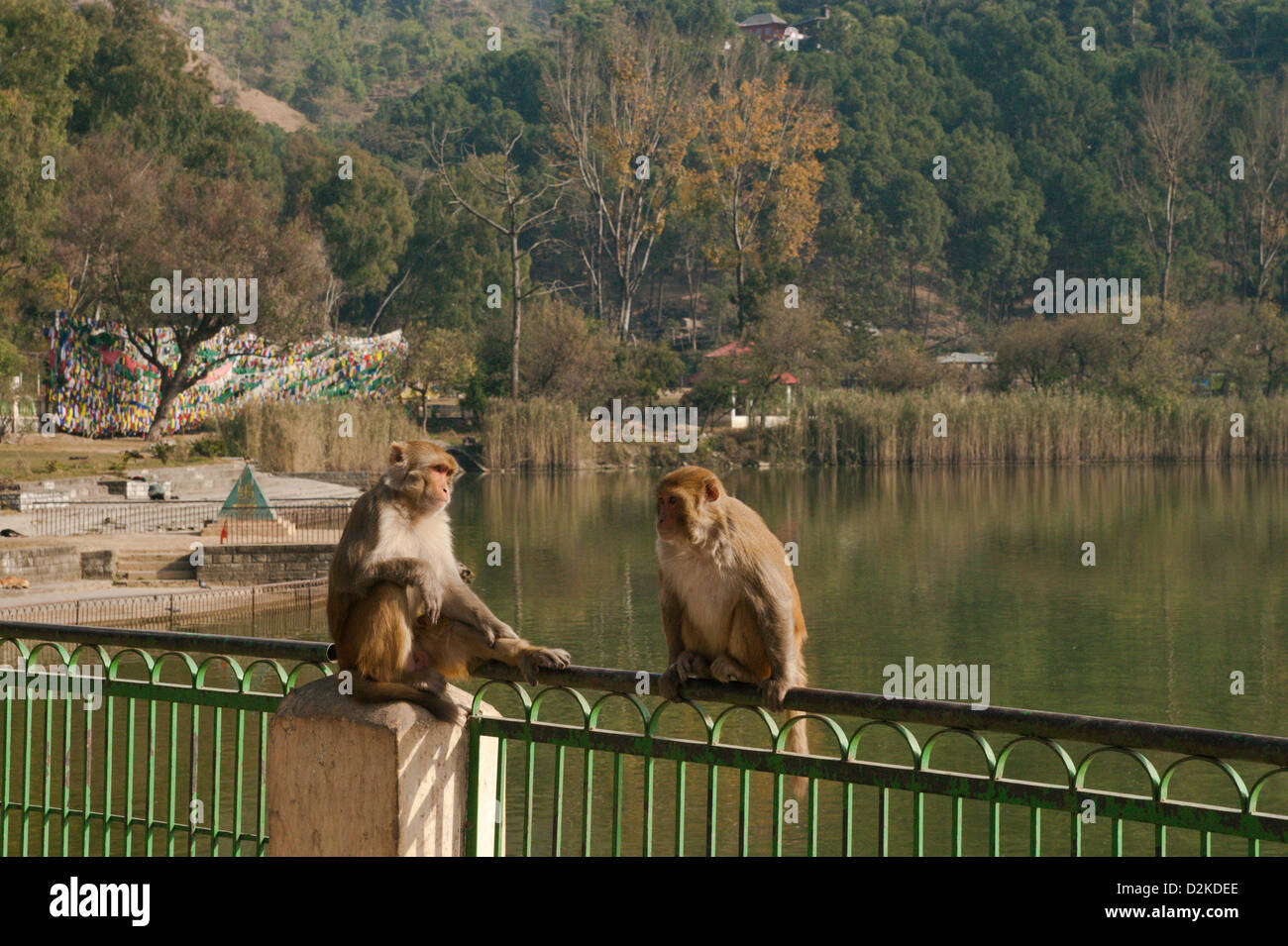 Rewalsar Himachal Pradesh India Stock Photo - Alamy