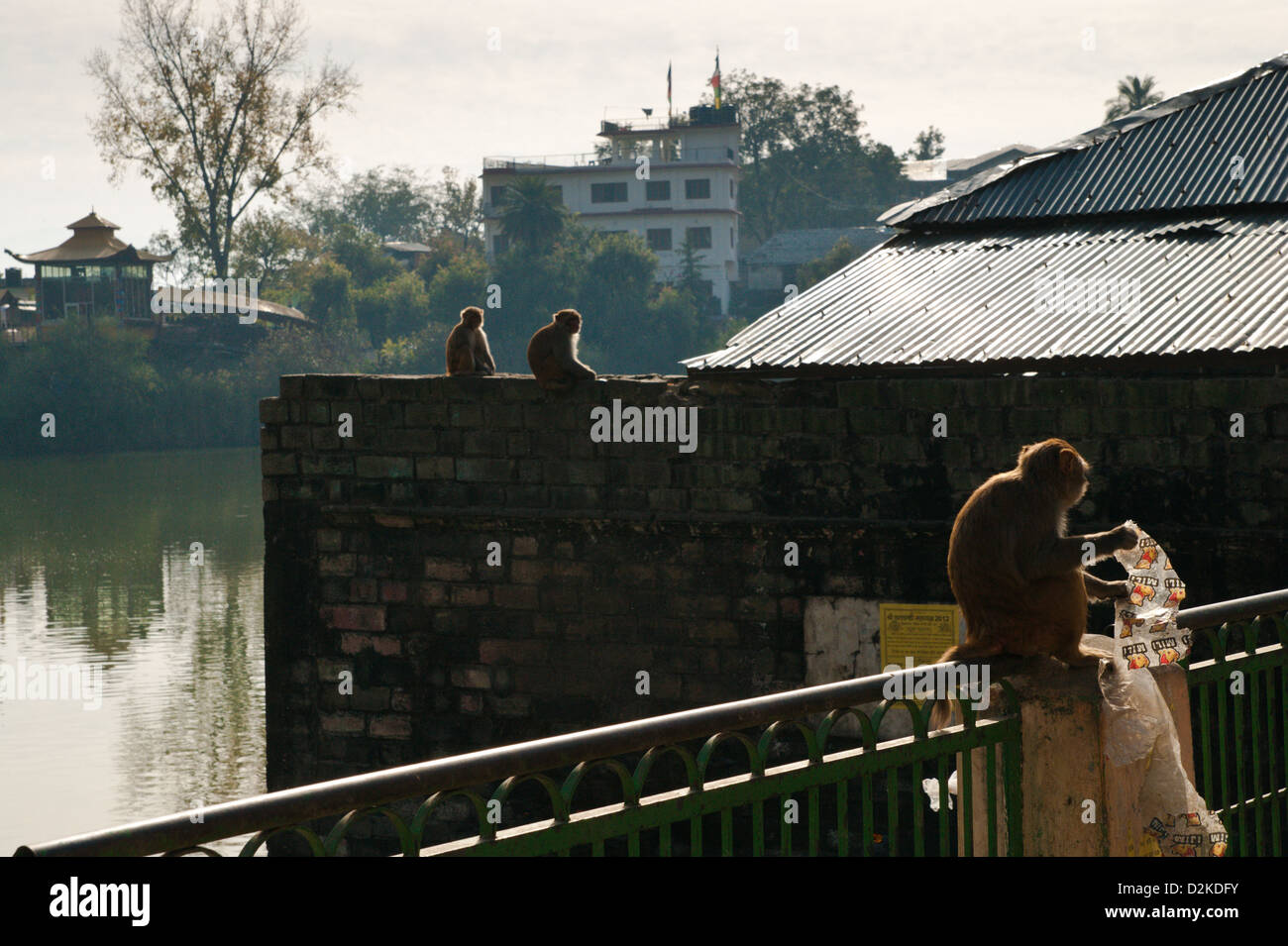 Rewalsar Himachal Pradesh India Stock Photo - Alamy