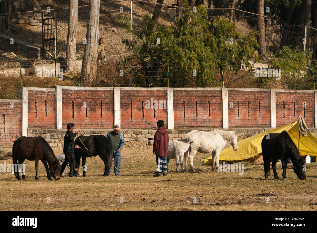 Rewalsar Himachal Pradesh India Stock Photo - Alamy