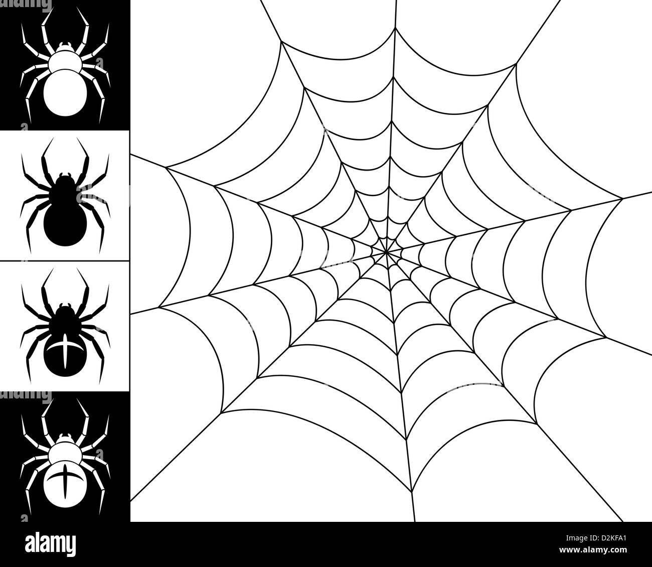 Spiders and web Stock Photo - Alamy