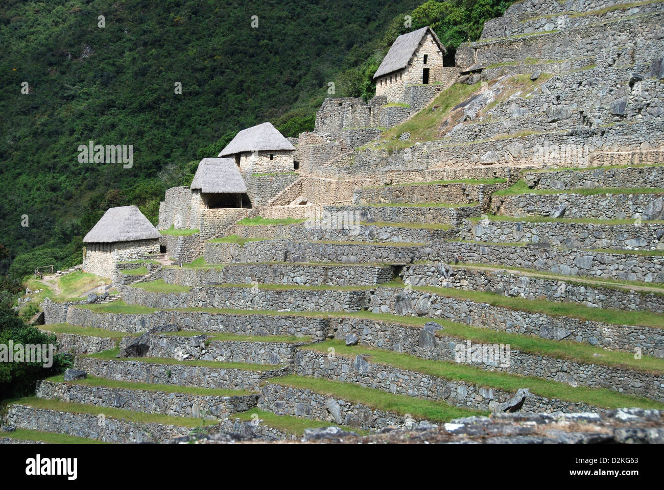 Machu picchu terraces hi-res stock photography and images - Alamy Machu picchu terraces hi-res stock photography and images - Alamy
