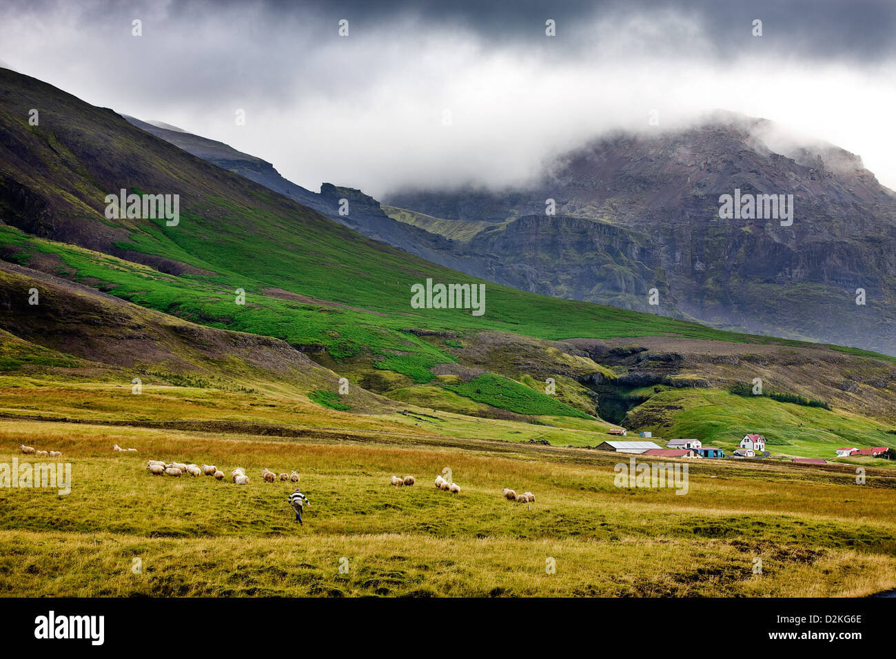 Farm with fields and sheep Stock Photo - Alamy