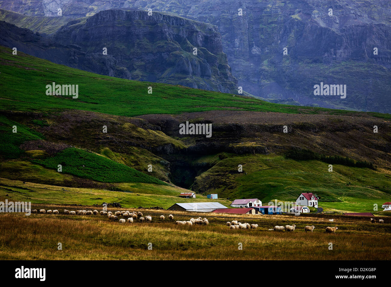 Farm with fields and sheep Stock Photo - Alamy
