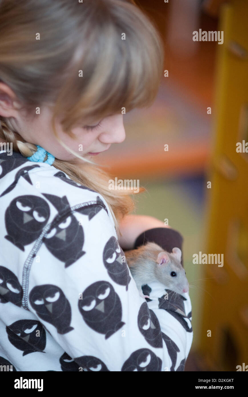 Animals making love hi-res stock photography and images - Alamy