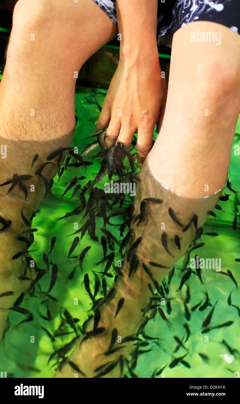 Treatment of a skin of legs with the help of set of small fishes Stock ...