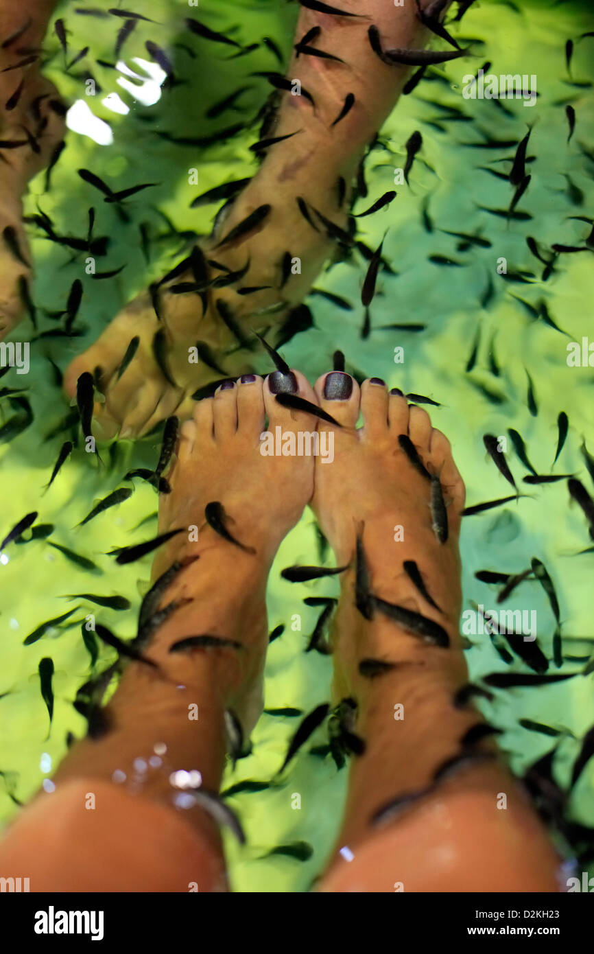 Treatment of a skin of legs with the help of set of small fishes Stock ...