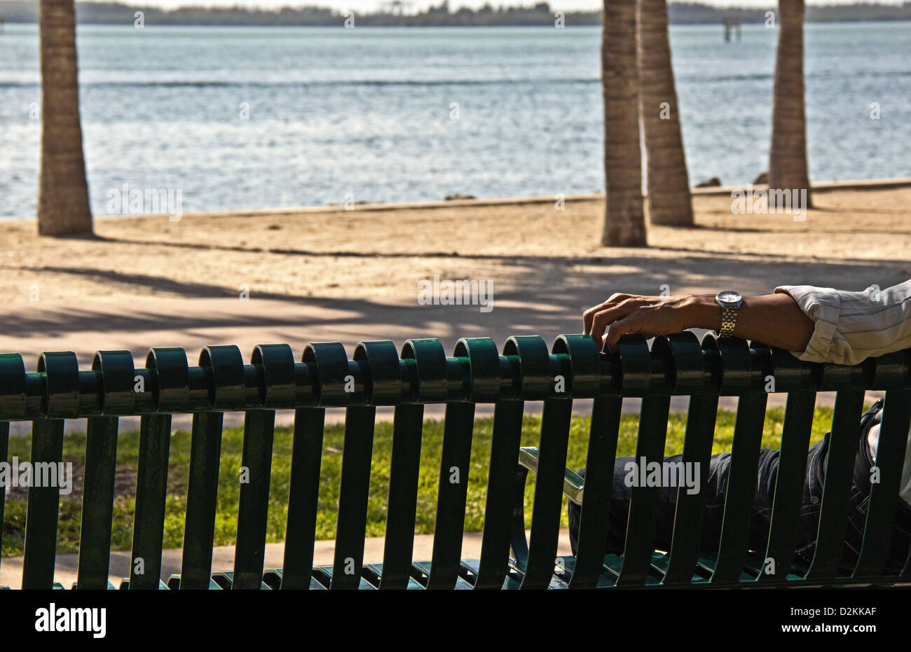 Skyline miami man hi-res stock photography and images - Alamy