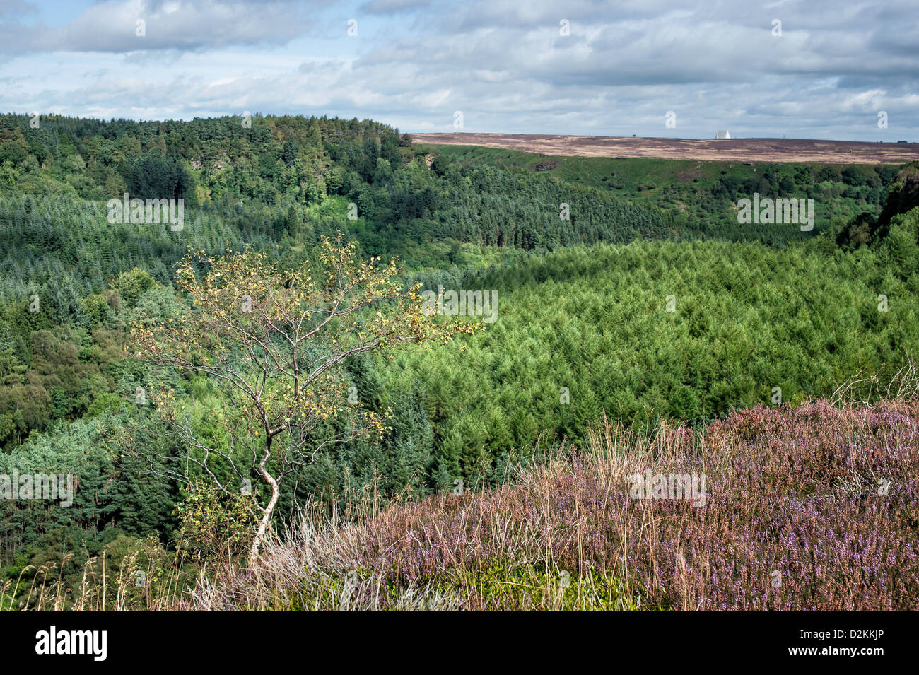North york moors national park north yorkshire fylingdales england uk ...