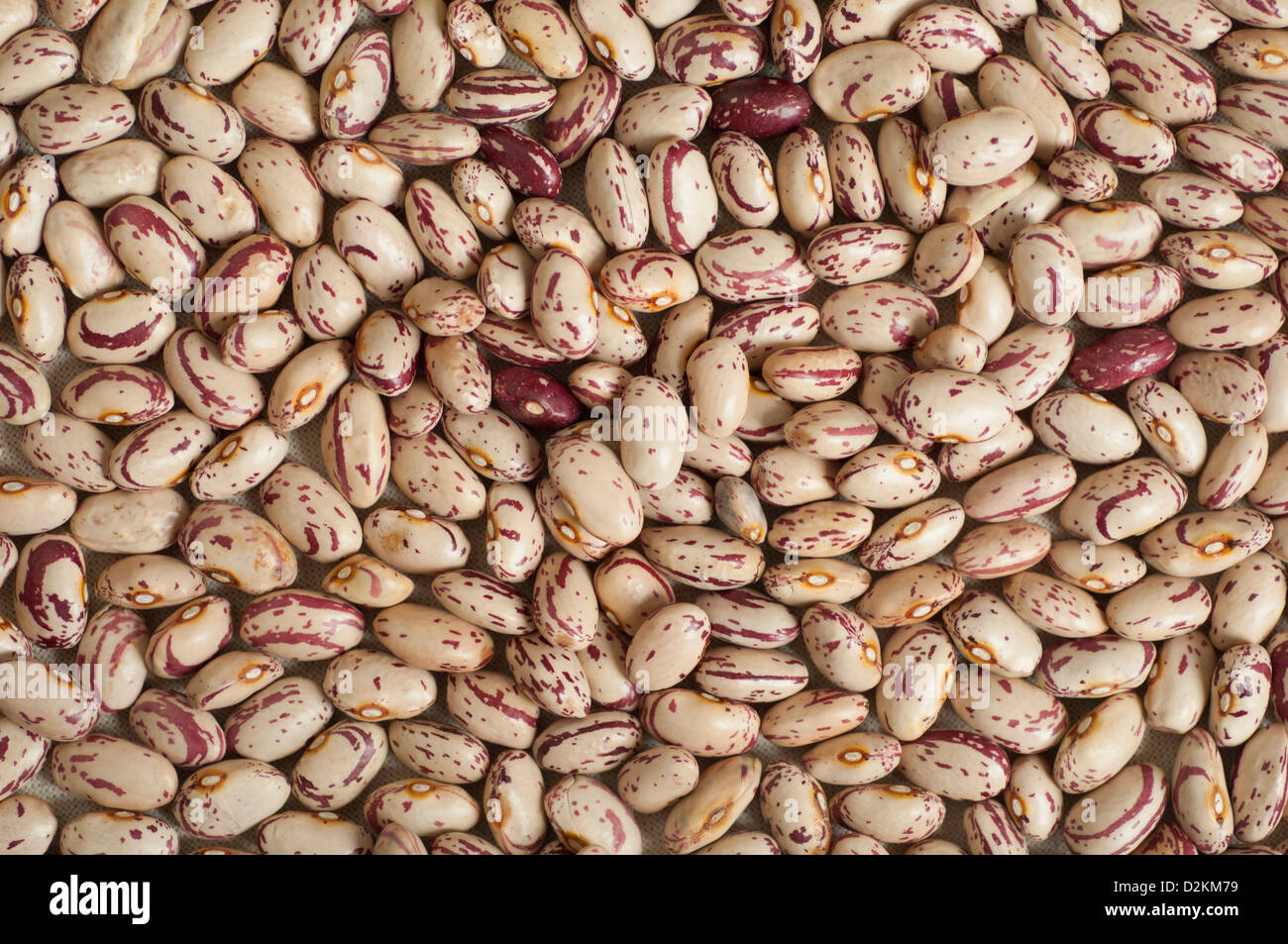 Close-up view of organic Pinto beans texture Stock Photo - Alamy