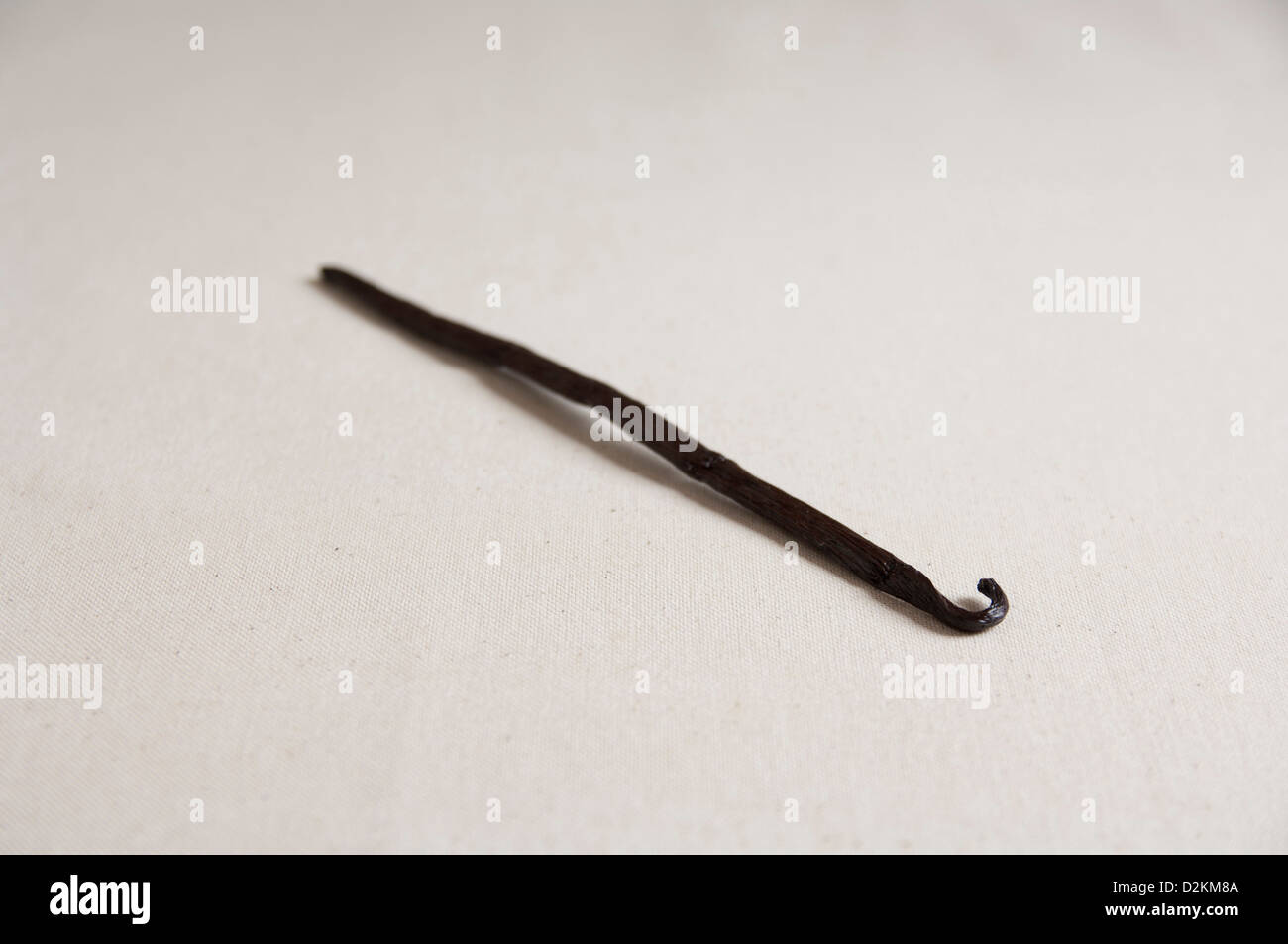 Vanilla beans plant hi-res stock photography and images - Alamy