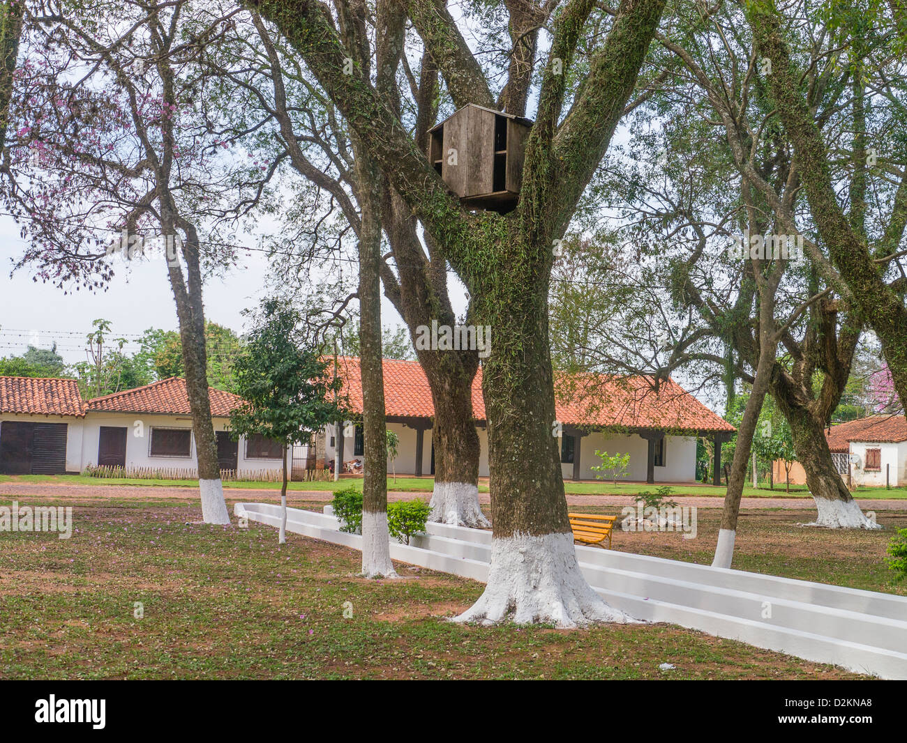 A wooden monkey house in the crouch of a tree in the town square of ...