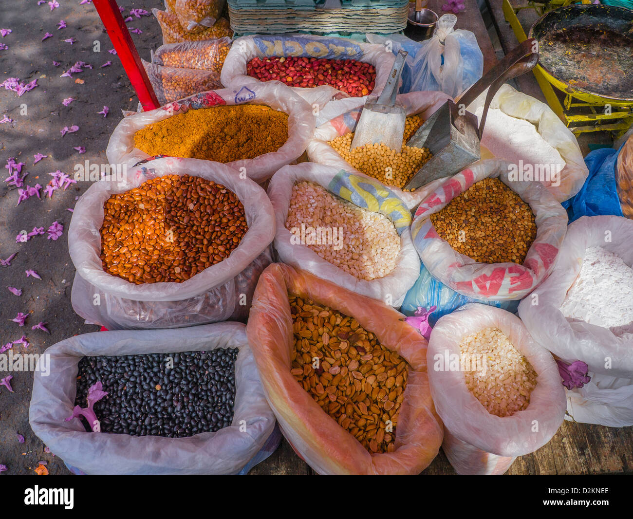 Bulk dry beans, seeds and nuts on display in large plastic bags in a ...