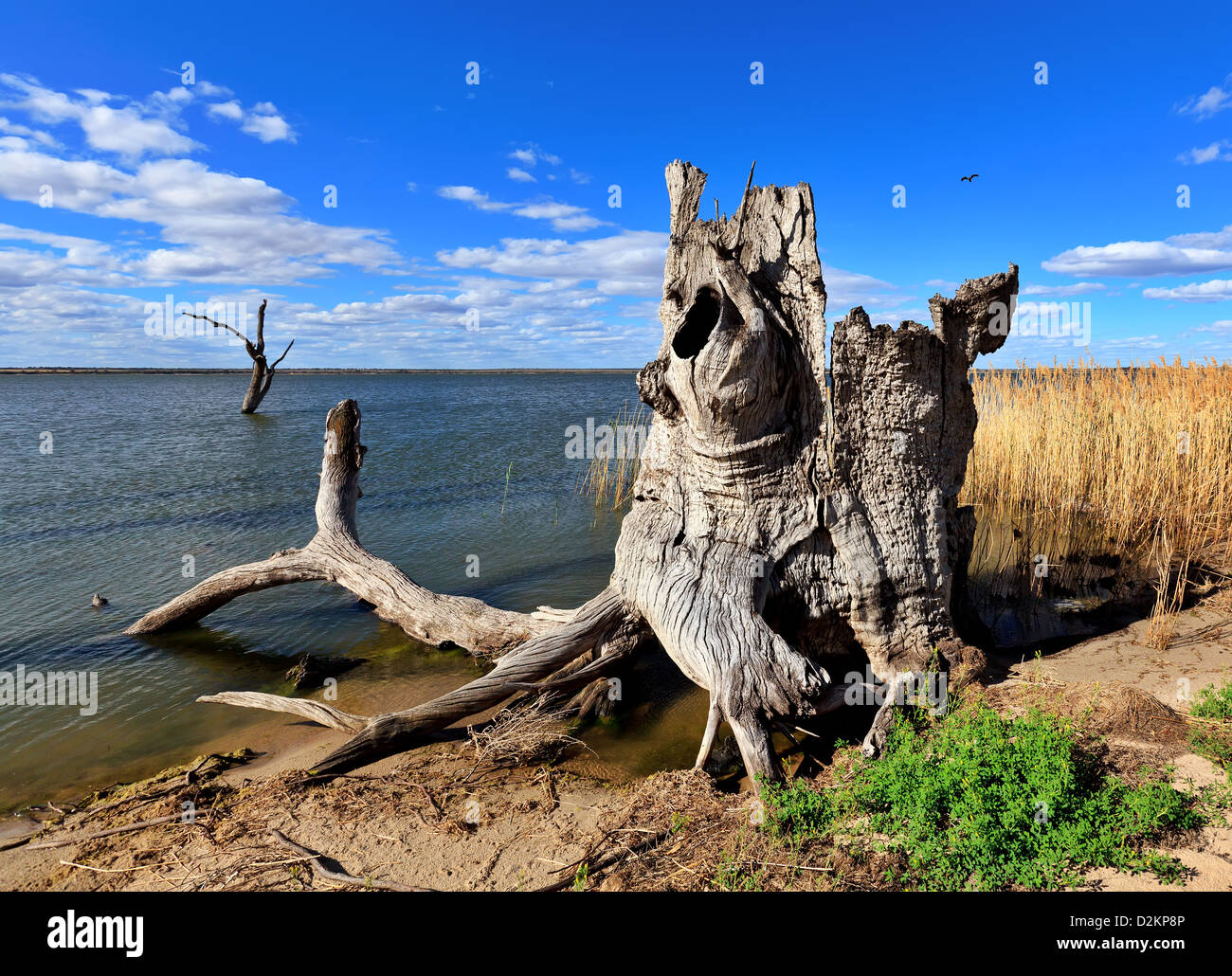 Pelican Point Lake Bonney Riverland South Australia Stock Photo - Alamy