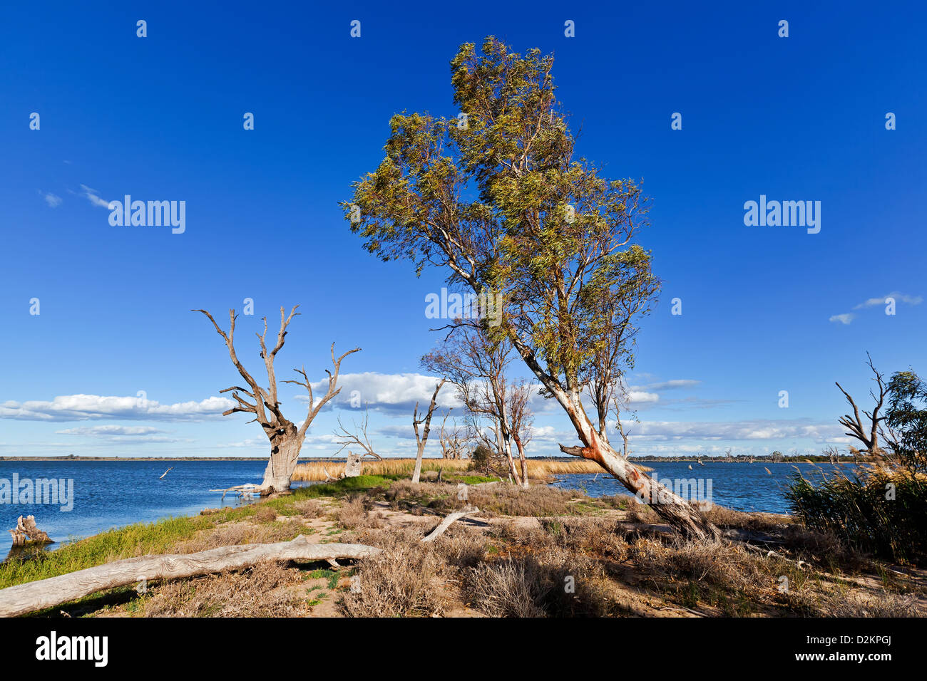 Pelican Point Lake Bonney Riverland South Australia Stock Photo - Alamy