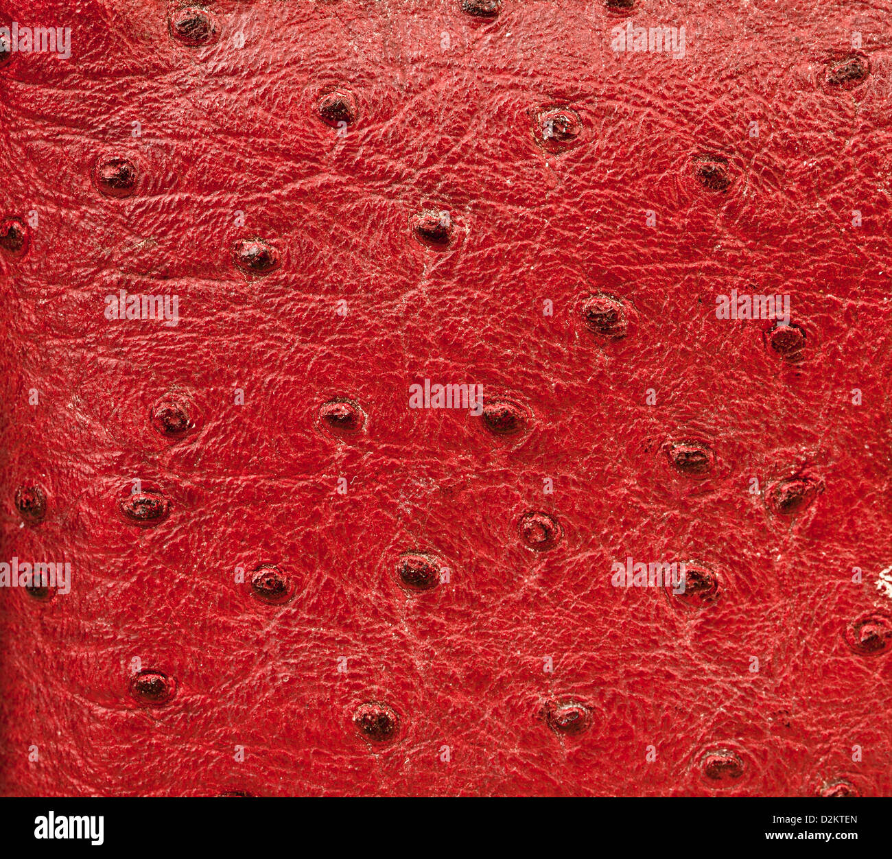 Background from a red skin Stock Photo - Alamy