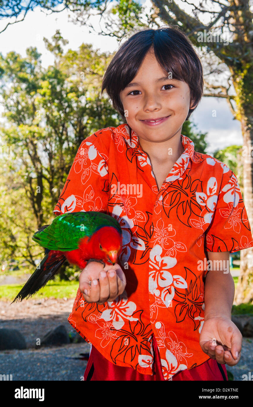 Boy feeding parrots hi-res stock photography and images - Alamy