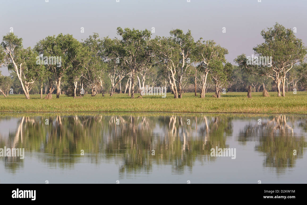 Yellow Water Billabong in Kakadu National Park. Northern Territory ...