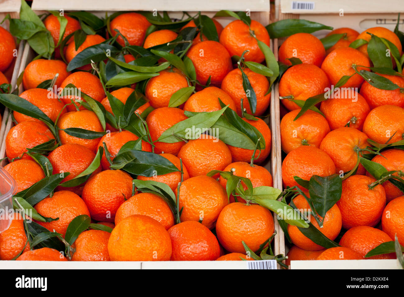 Wooden box with Mandarin oranges Stock Photo - Alamy