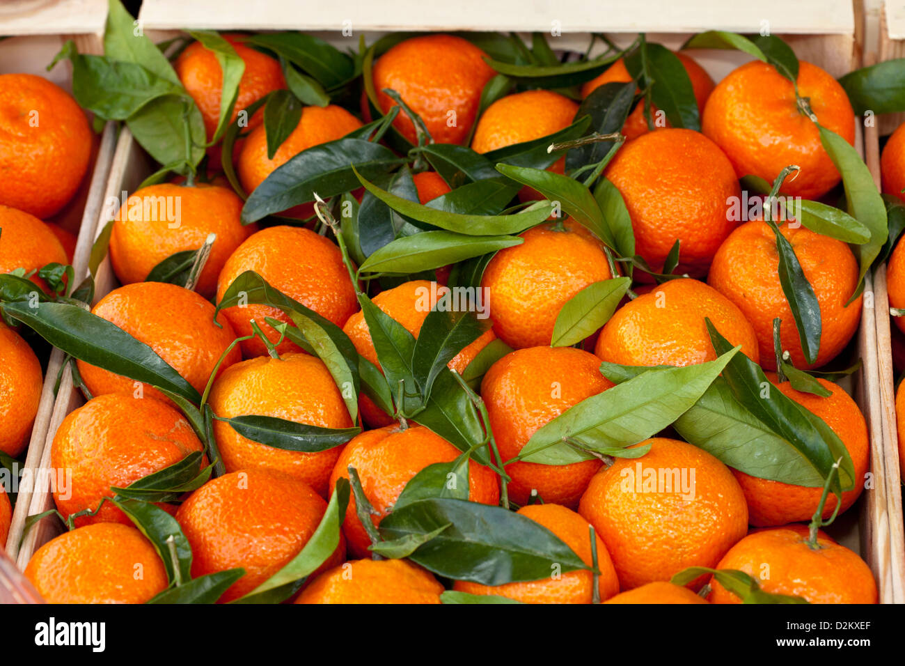 Mandarin box hi-res stock photography and images - Alamy