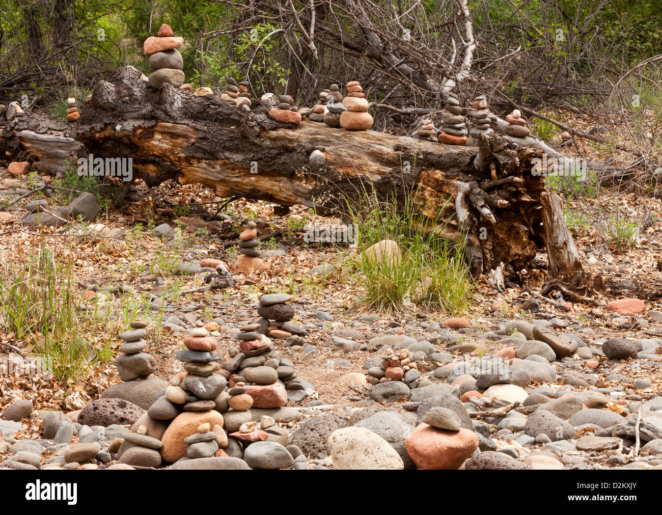 Stacks of Stones on a dead tree trunk at Buddha Beach near Cathedral ...