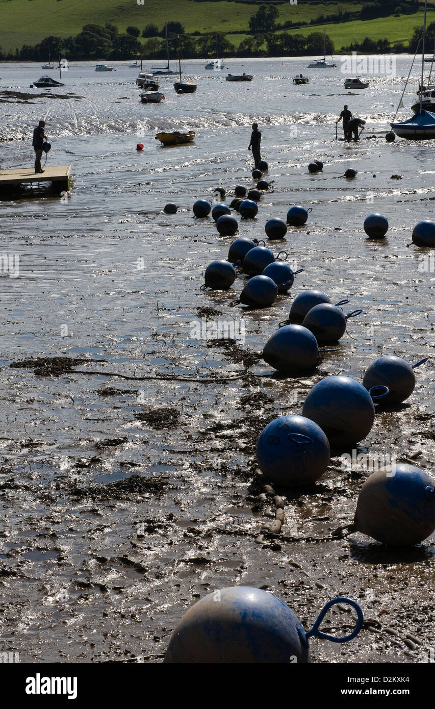 River Dart,Stoke Gabriel,Devon,Bouys,mud Stock Photo - Alamy