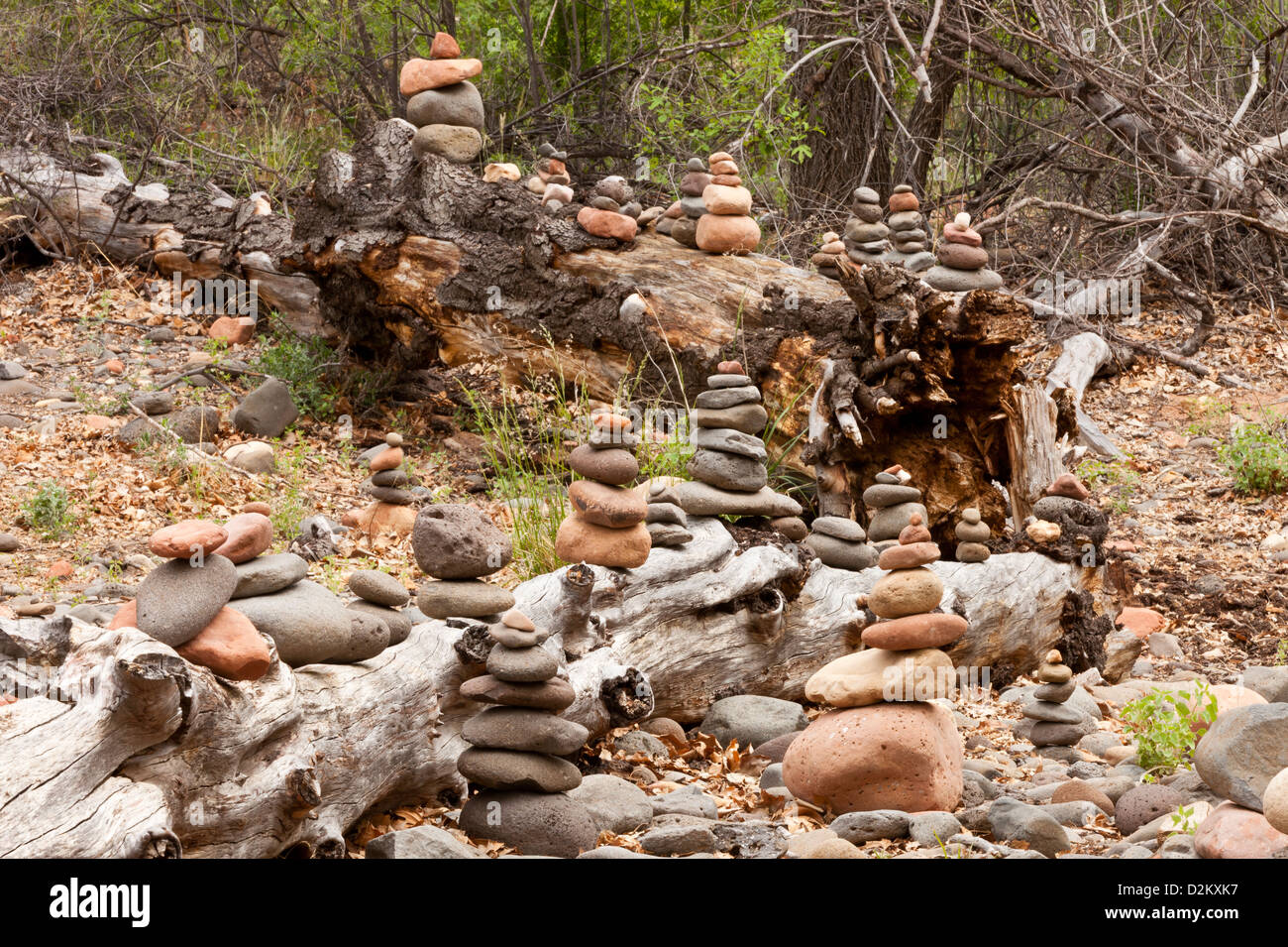 Stacks of Stones on a dead tree trunk at Buddha Beach near Cathedral ...