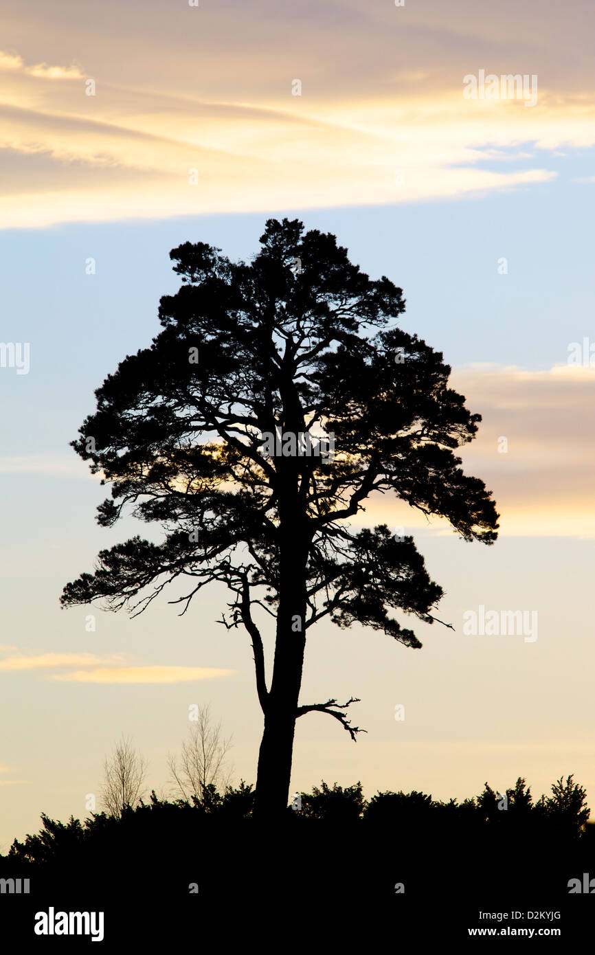 Highlands silhouette hi-res stock photography and images - Alamy
